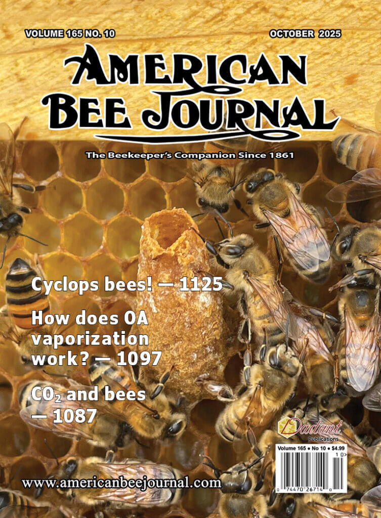 Texas Beekeepers Association 2025 Annual Convention - American Bee Journal